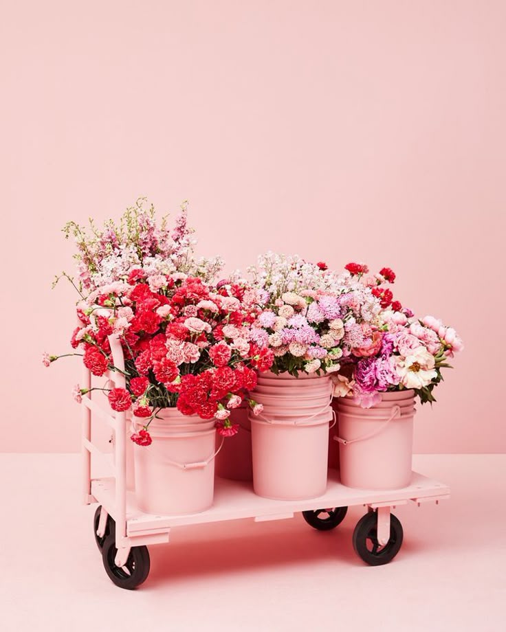 BloomOn Flower Design | Fresh Floral Arrangements in Grand Cayman