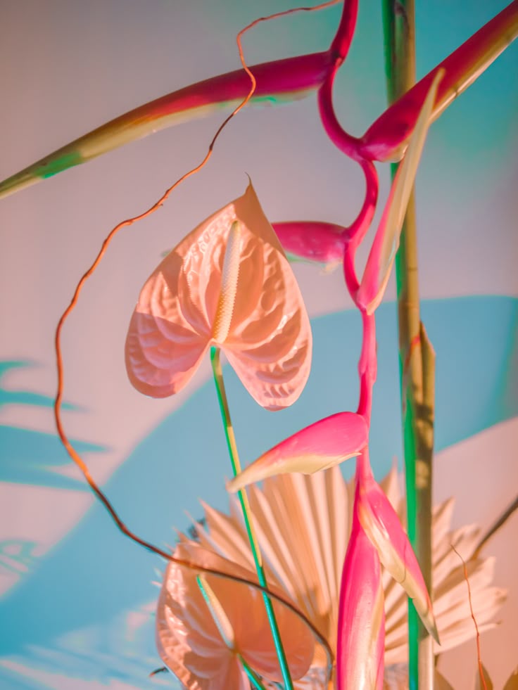BloomOn Flower Design | Fresh Floral Arrangements in Grand Cayman